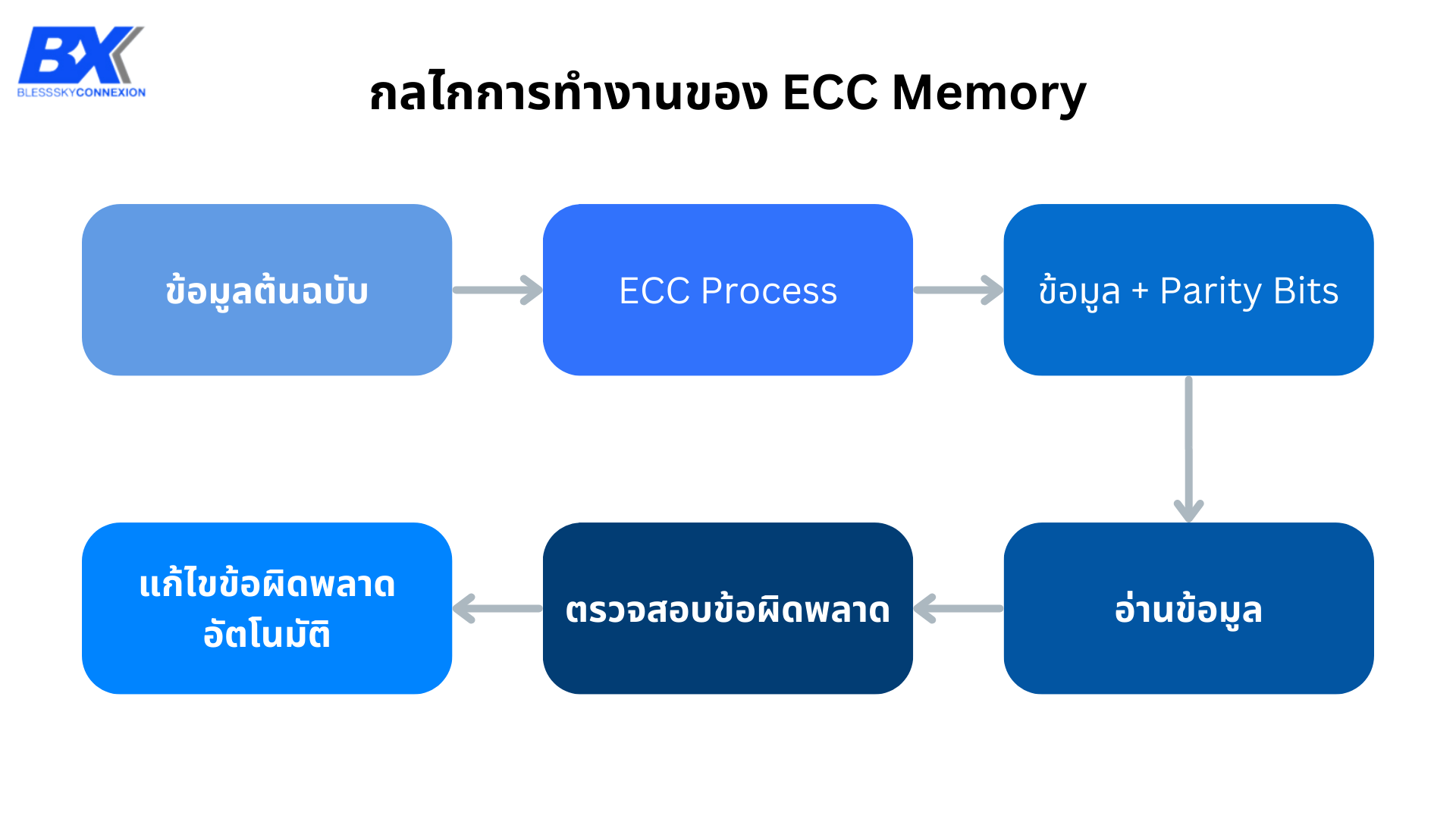 หน่วยความจำ ECC คืออะไร - Blesssky Connexion